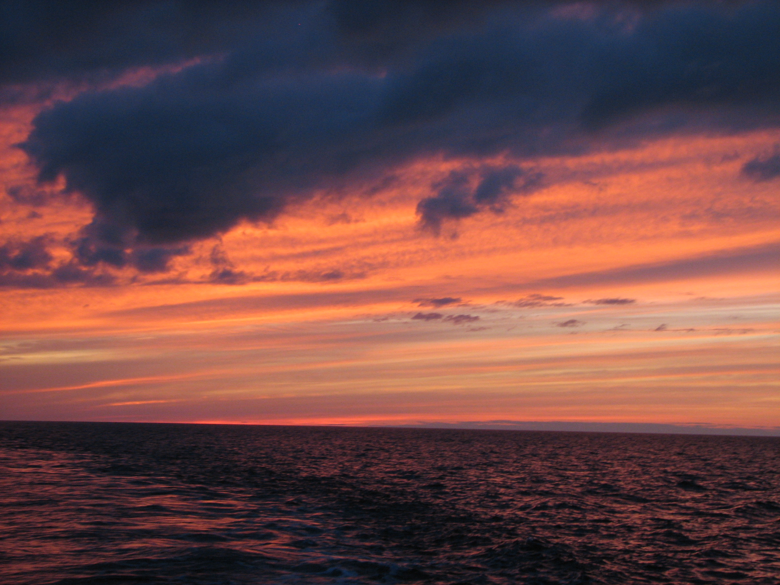 Pictures From Howley